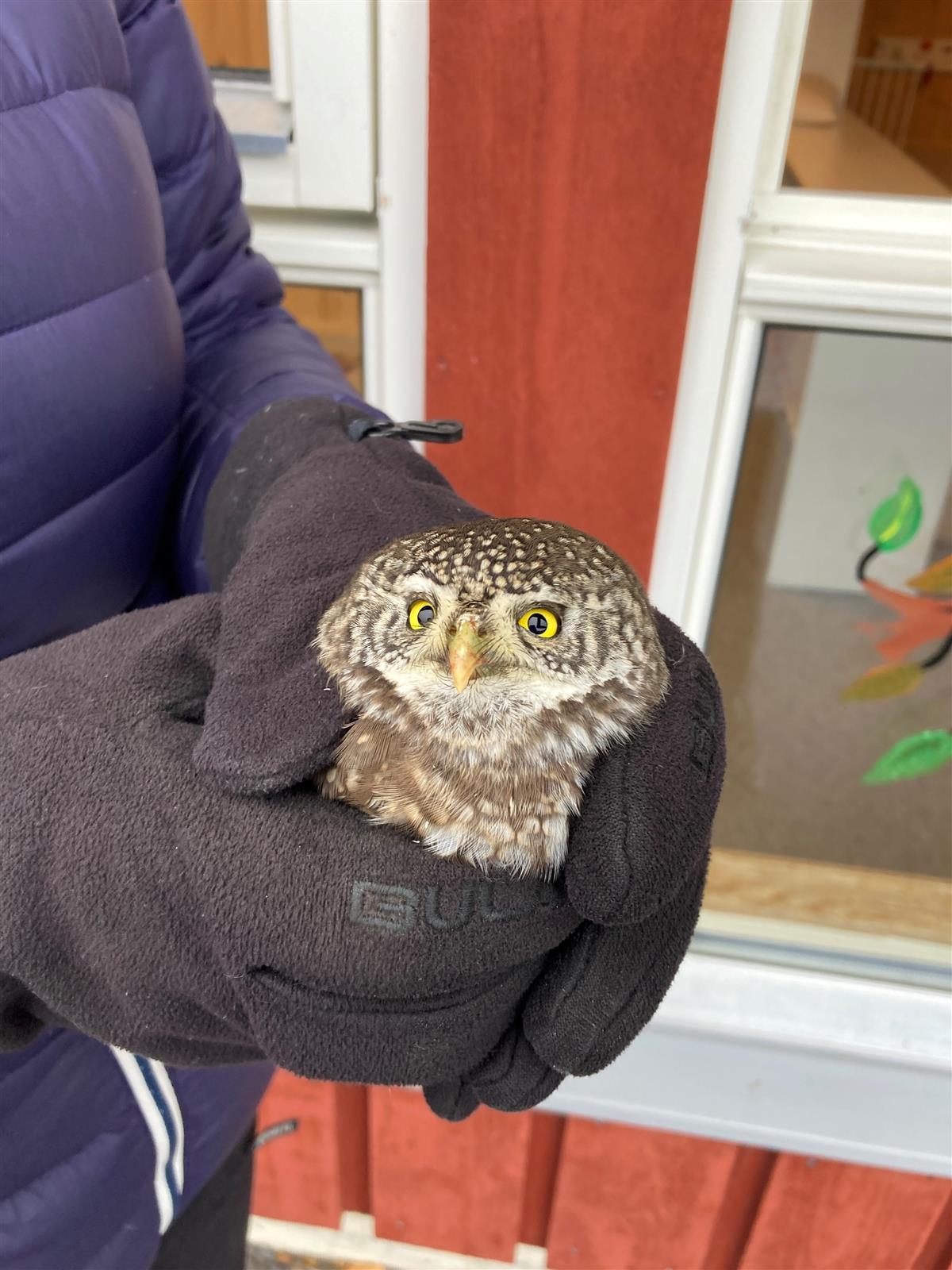 Tett på naturen - Vestre Slidre kommune